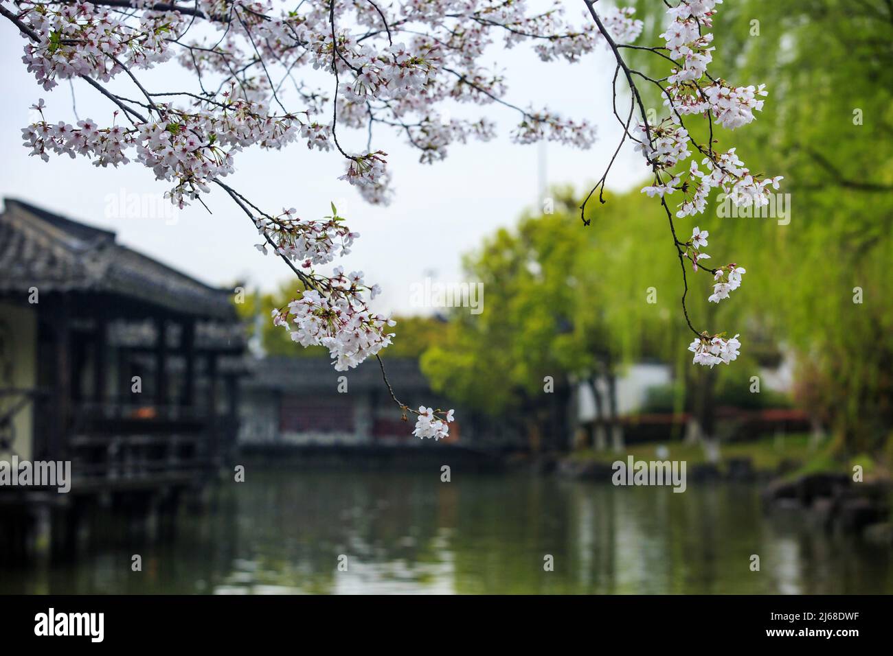 The ancient town of xitang Stock Photo - Alamy