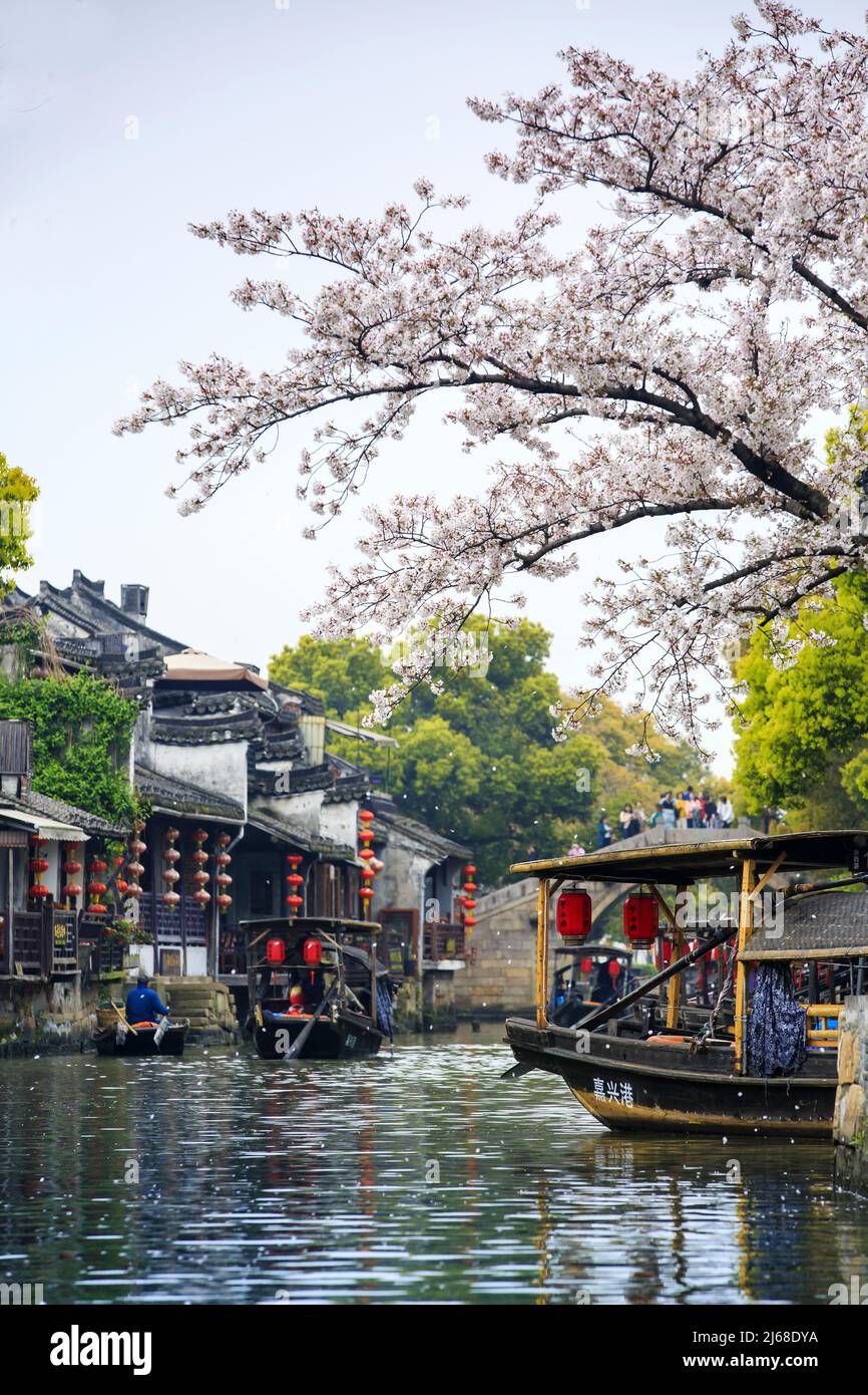 The ancient town of xitang Stock Photo - Alamy