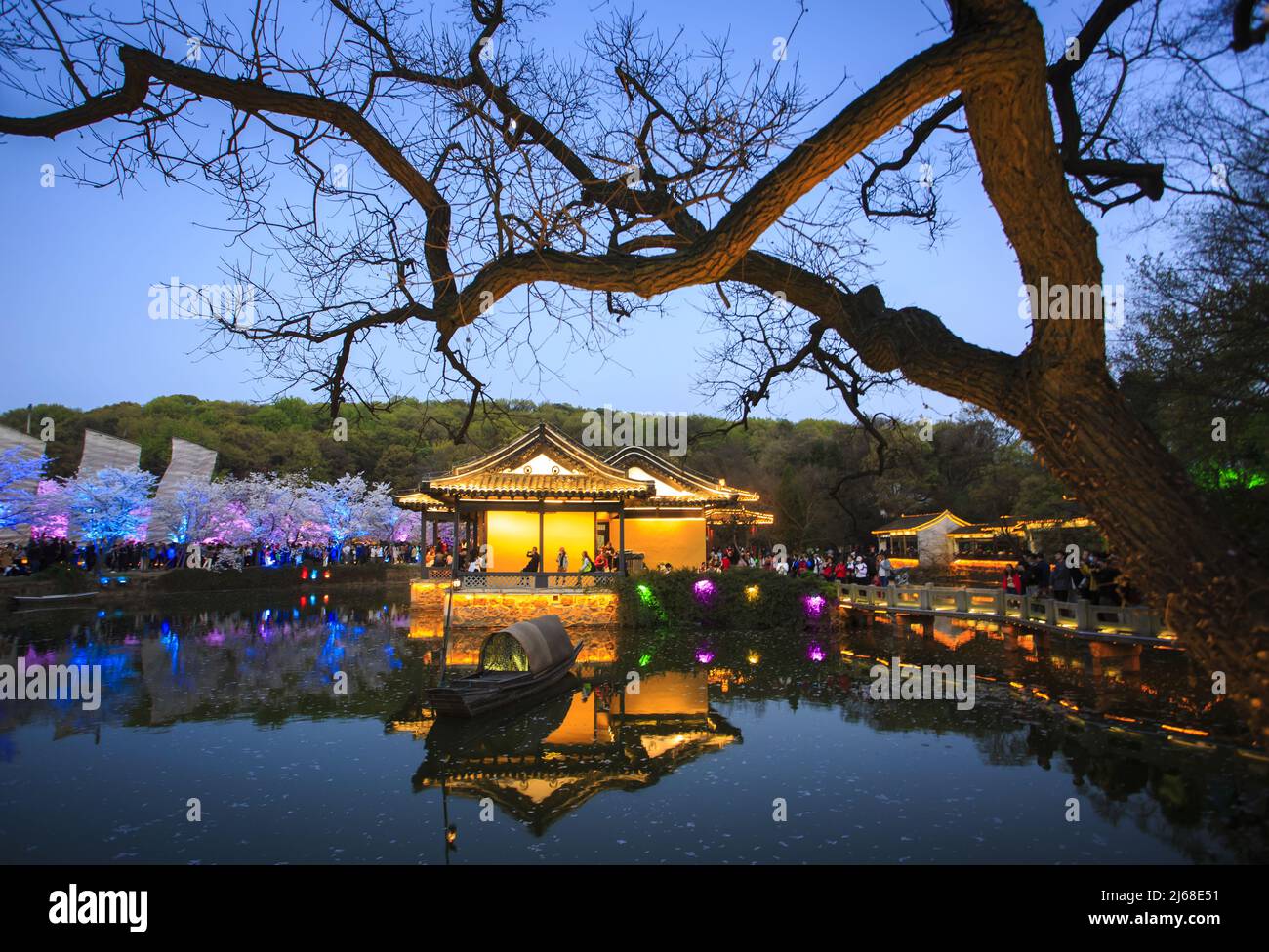 The turtle head isle of taihu lake cherry blossom Stock Photo - Alamy