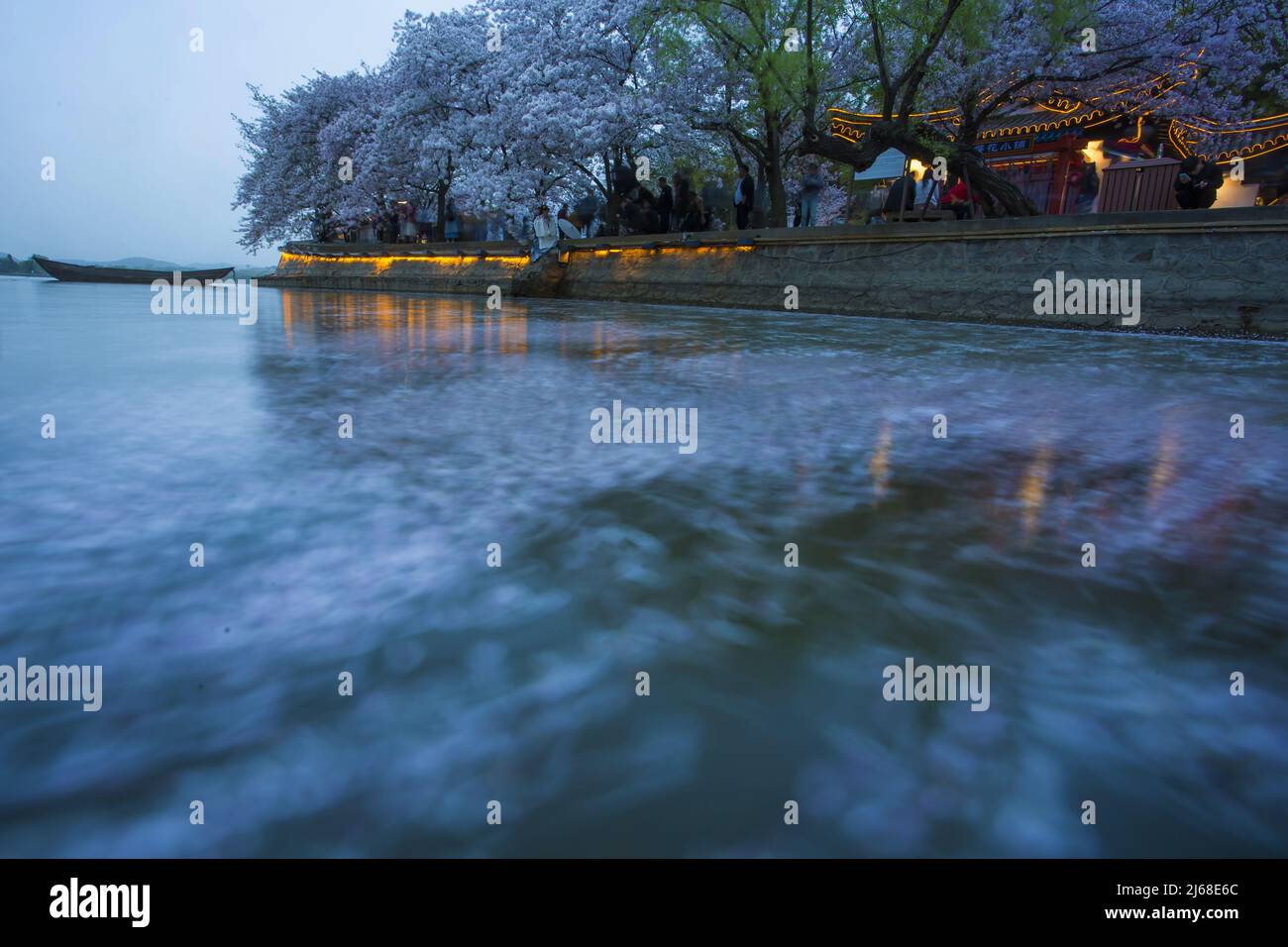 The turtle head isle of taihu lake cherry blossom Stock Photo - Alamy