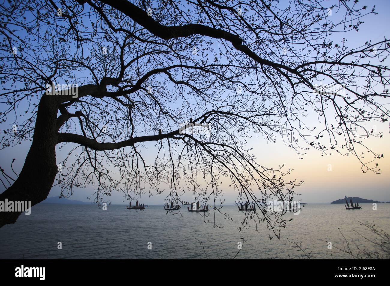 The turtle head isle of taihu lake Stock Photo - Alamy