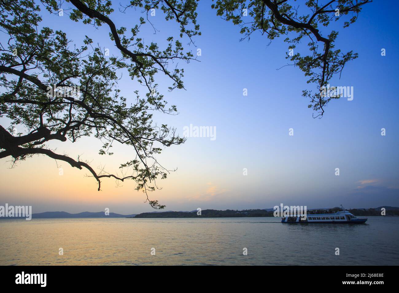 The turtle head isle of taihu lake cherry blossom Stock Photo - Alamy