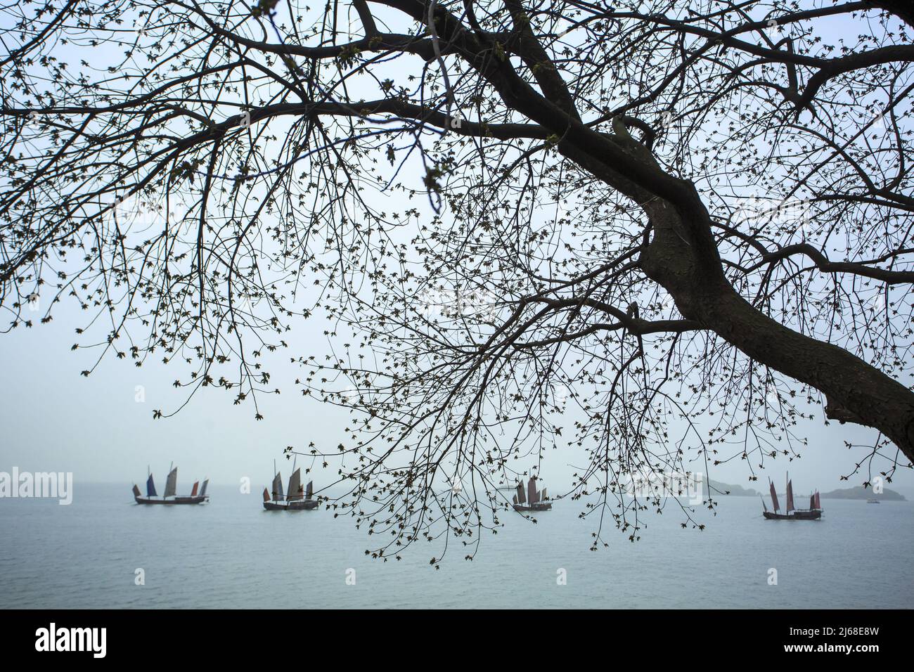 The turtle head isle of taihu lake Stock Photo - Alamy