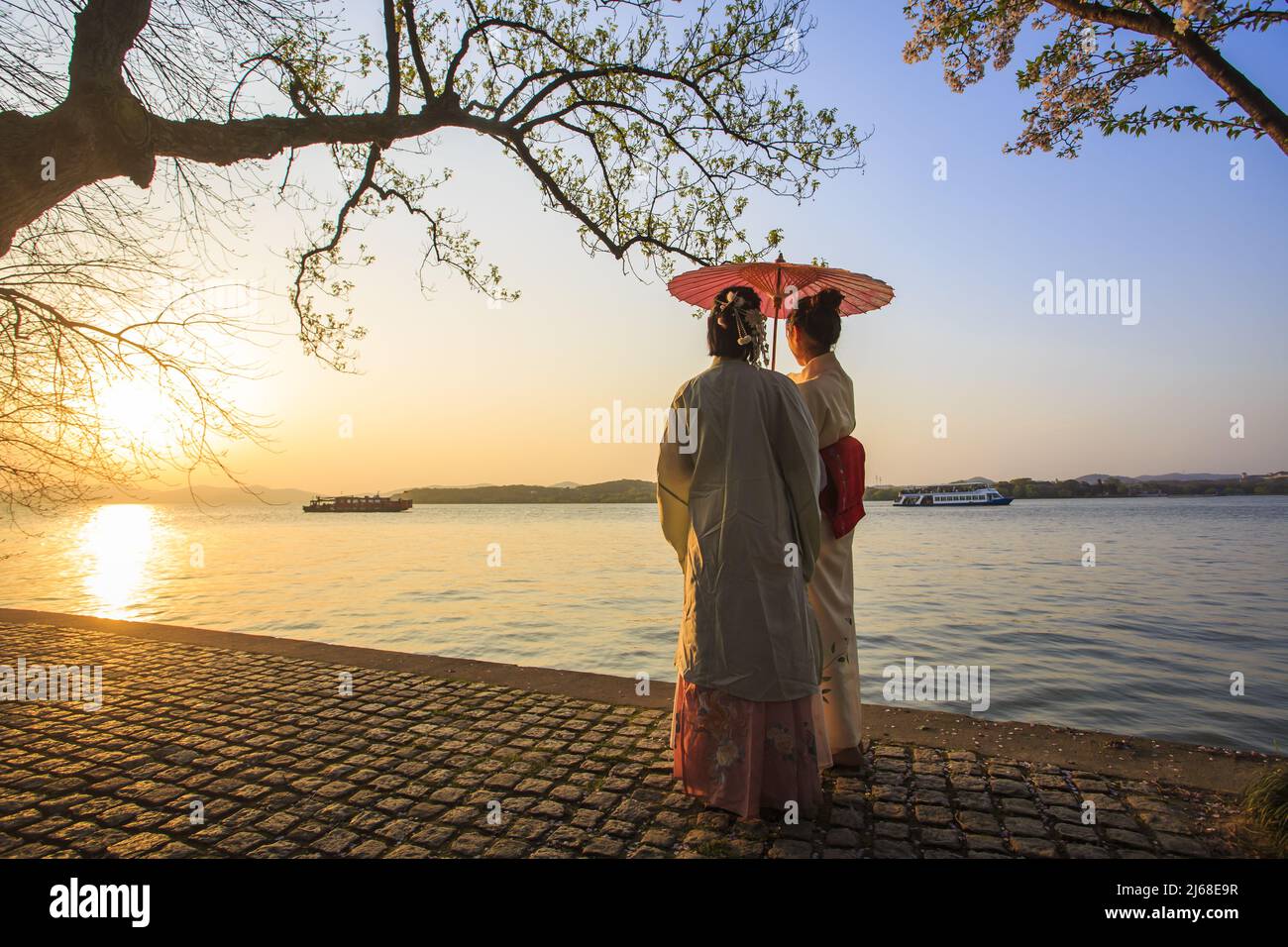 The turtle head isle of taihu lake cherry blossom Stock Photo - Alamy