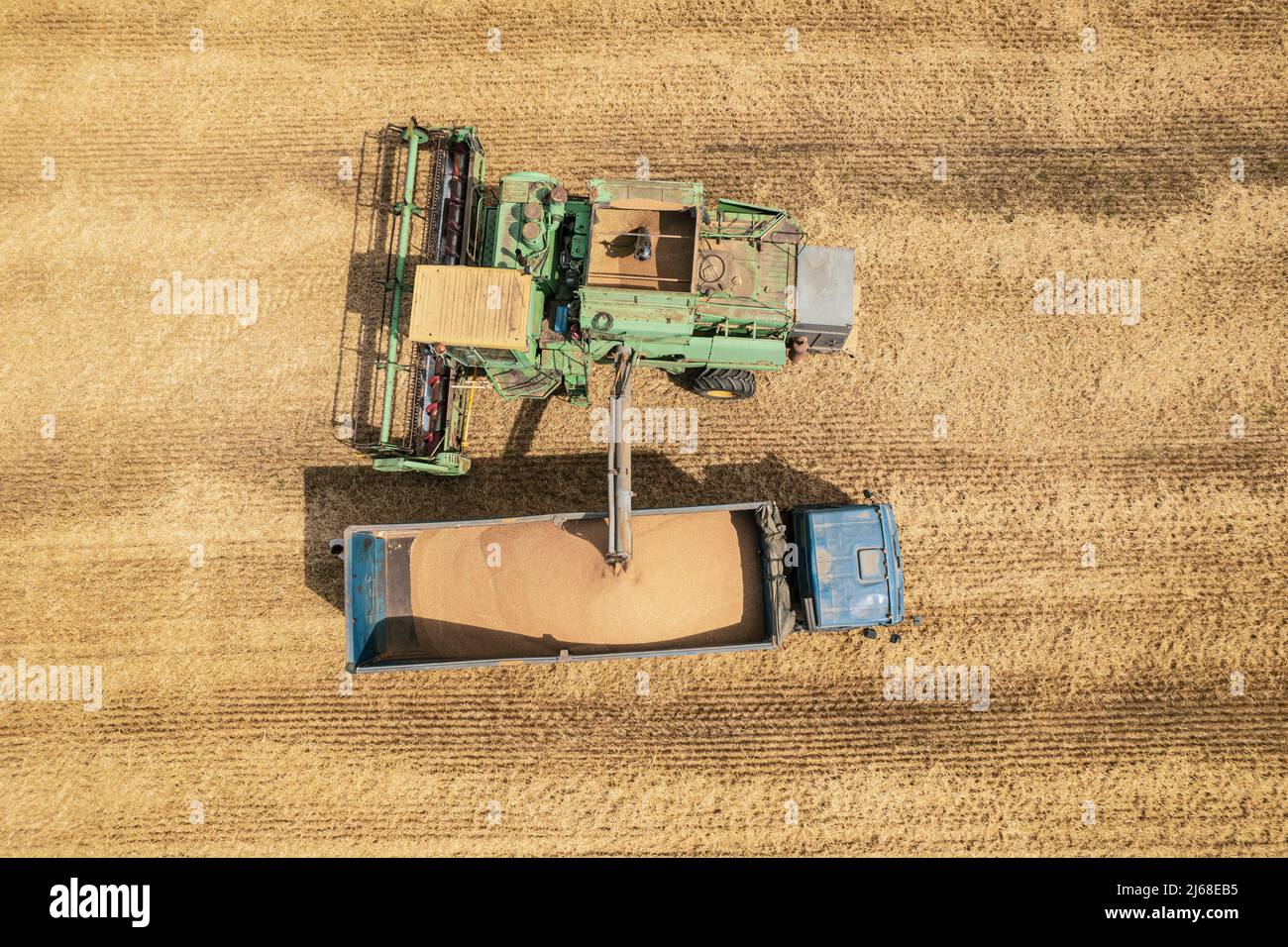 Combine harvesting: aerial view of agricultural machine collecting ...