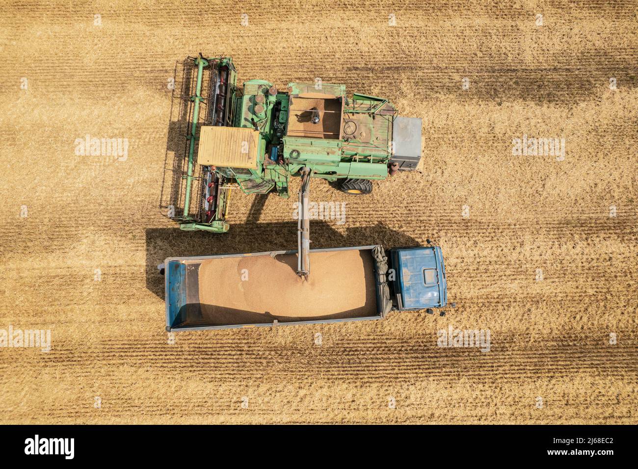 Combine harvesting: aerial view of agricultural machine collecting ...