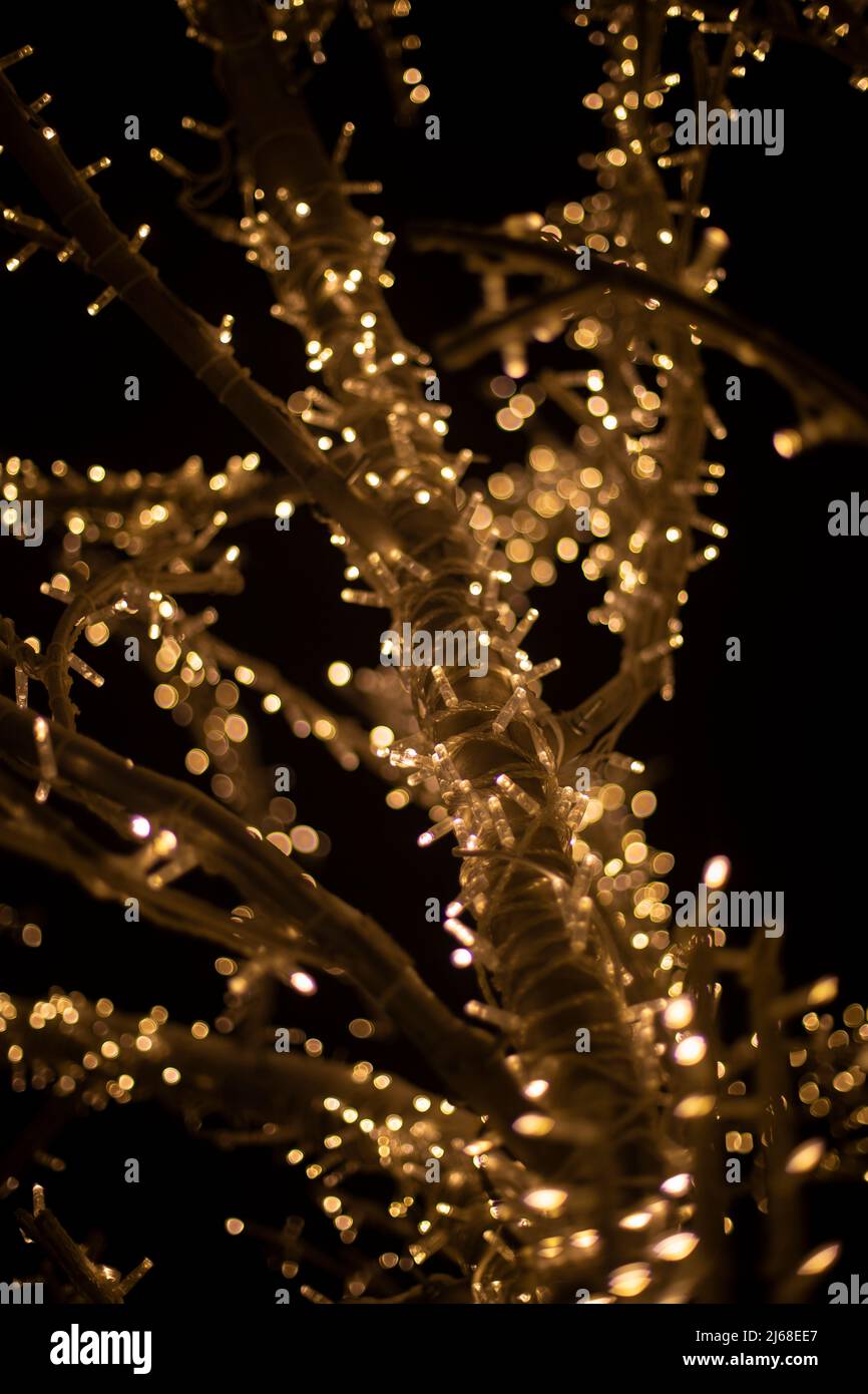 Lights in dark. Tree made of light bulbs. Christmas decorations in city ...