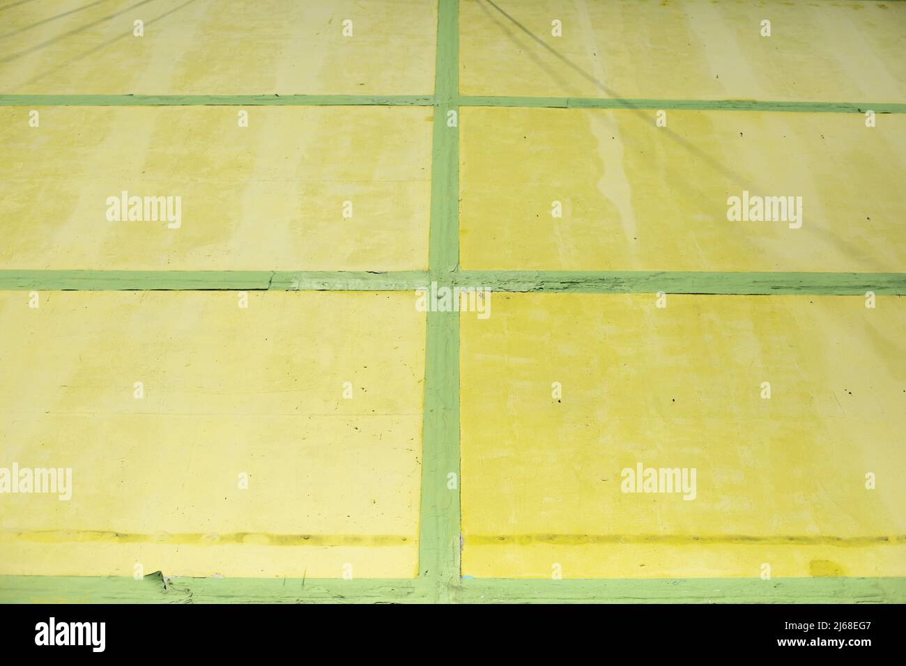 Yellow cells and green lines. Wall is painted. Structure is made of ...