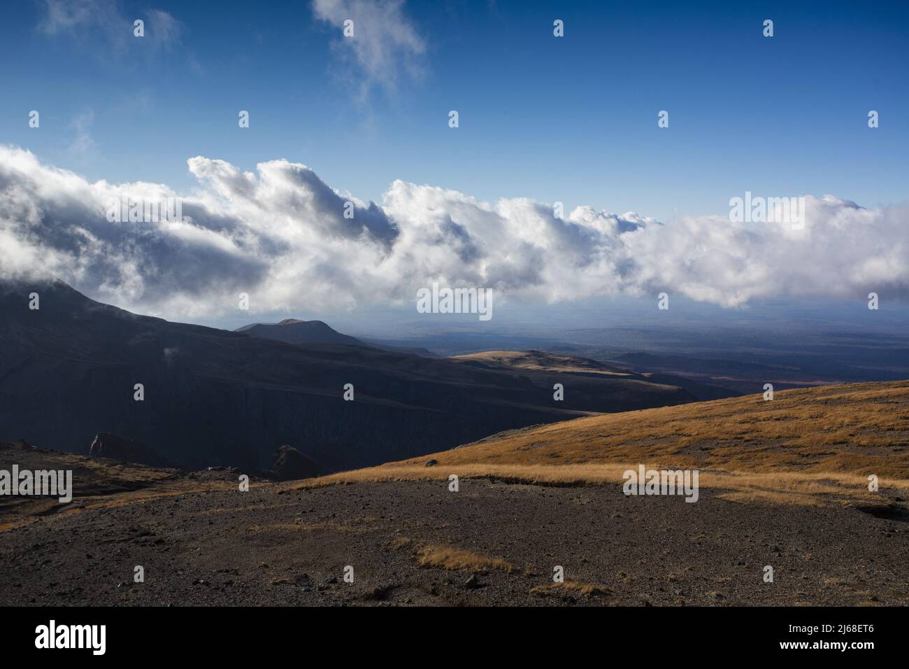 Lin hai hi-res stock photography and images - Alamy