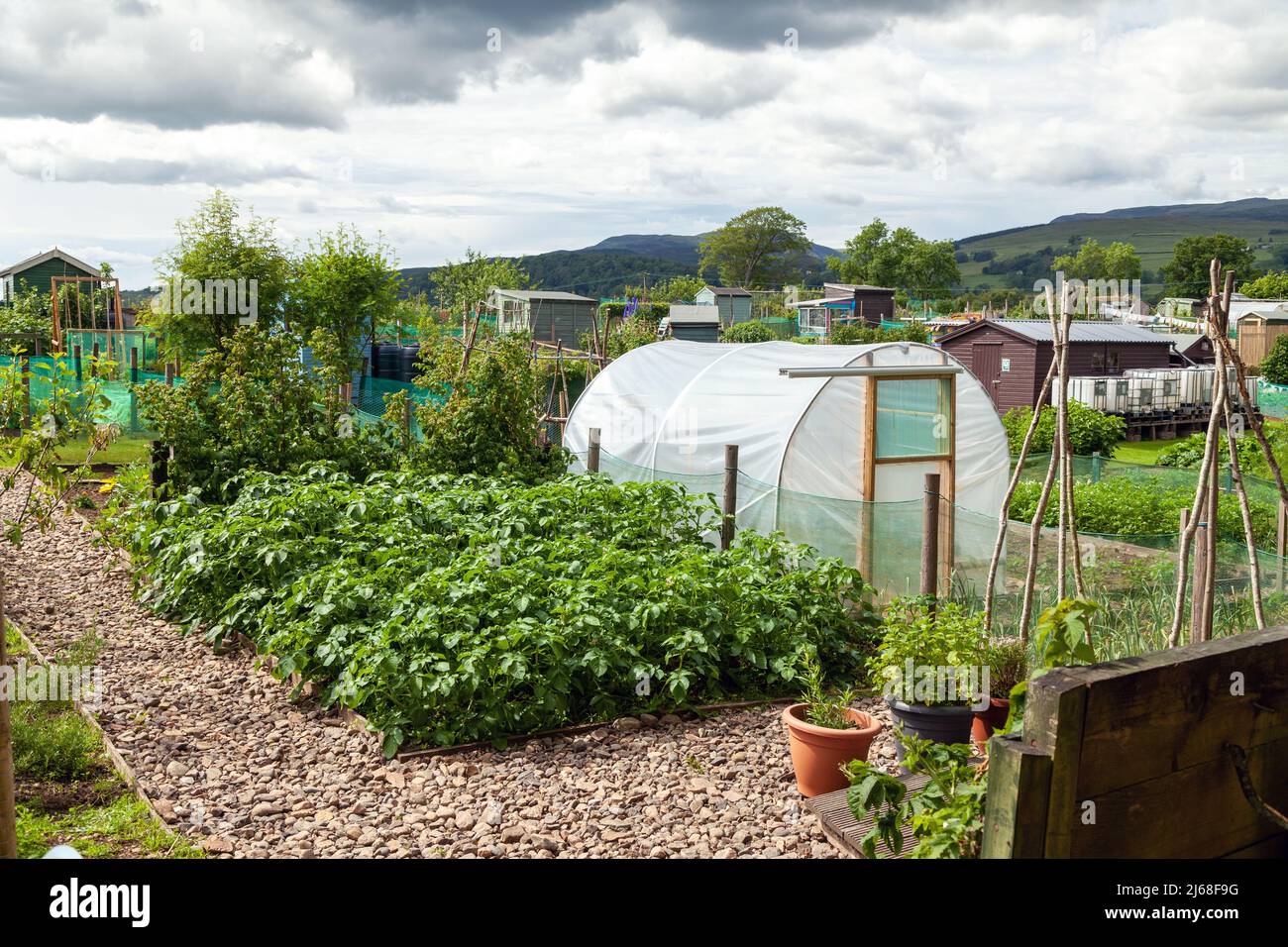 Garden allotments hi-res stock photography and images - Alamy