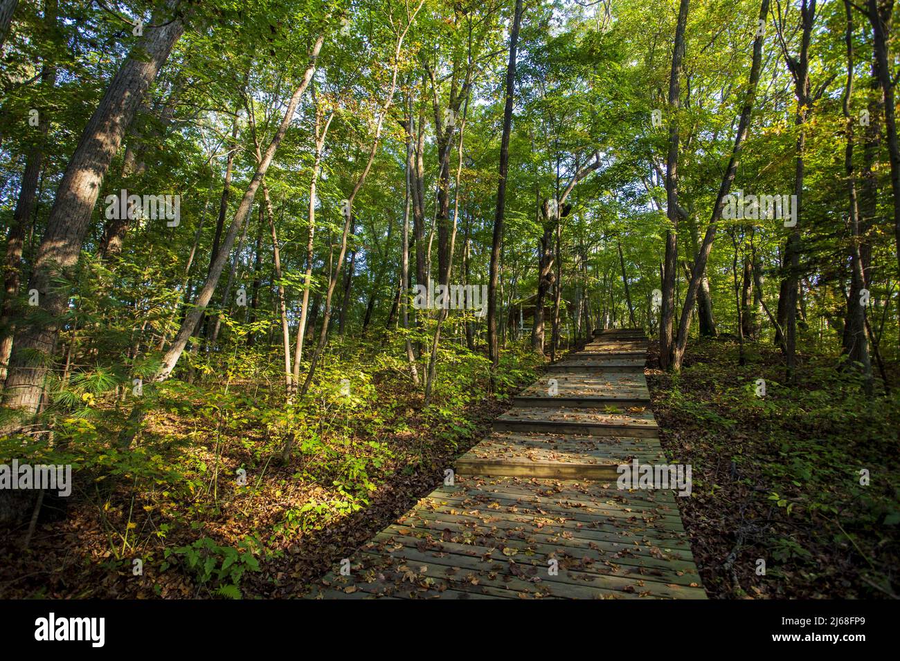 Redstone national forest park Stock Photo - Alamy