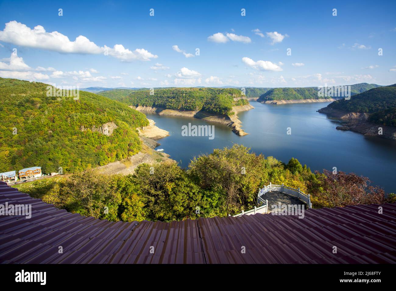 Birch midian white mountain lake Stock Photo - Alamy