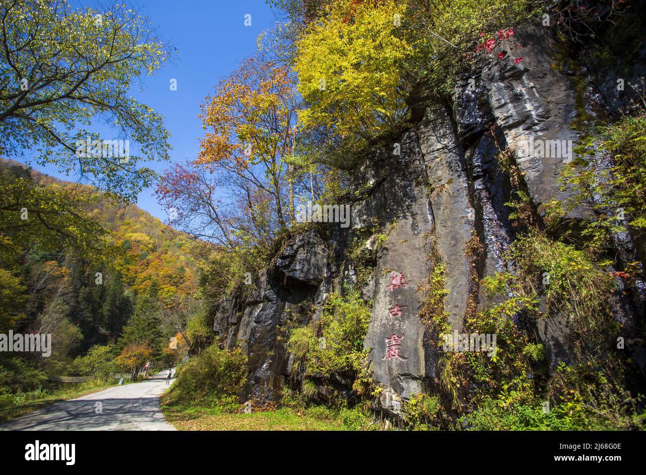 Columnar joints hi-res stock photography and images - Alamy
