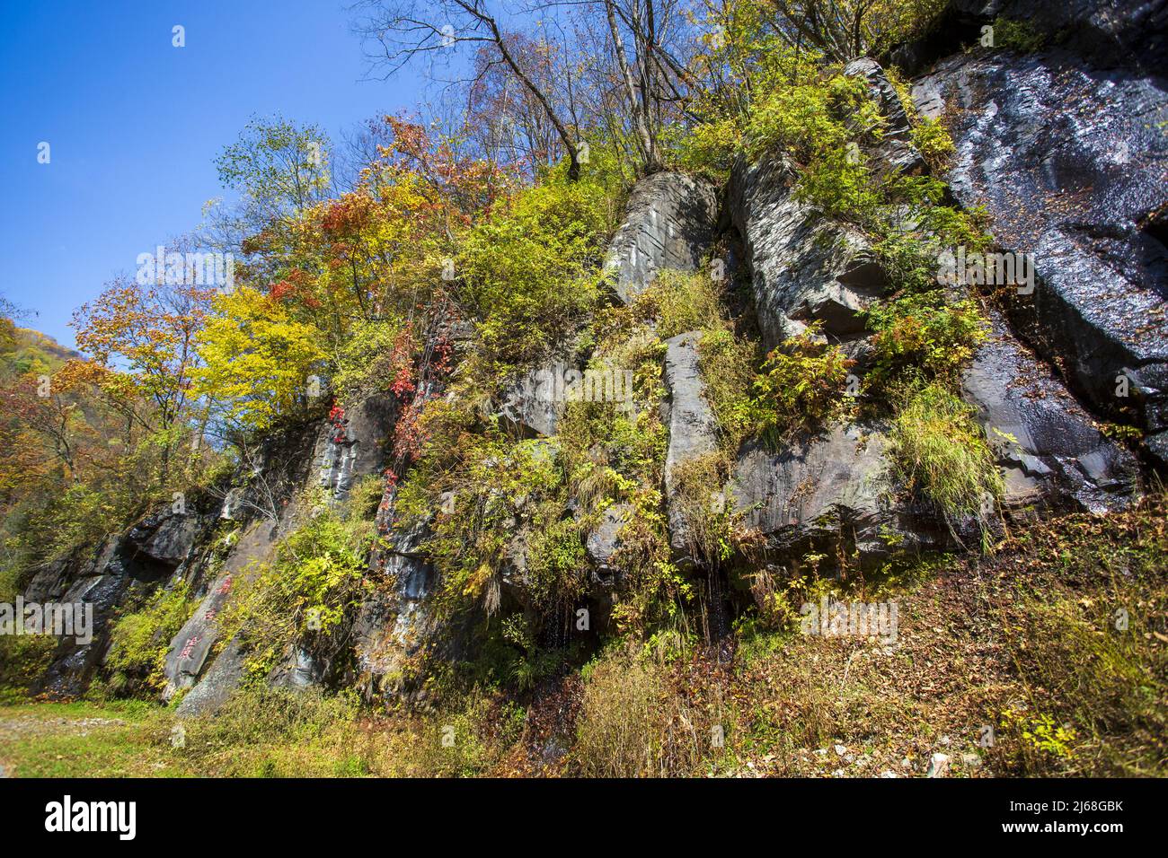 Columnar joints hi-res stock photography and images - Alamy