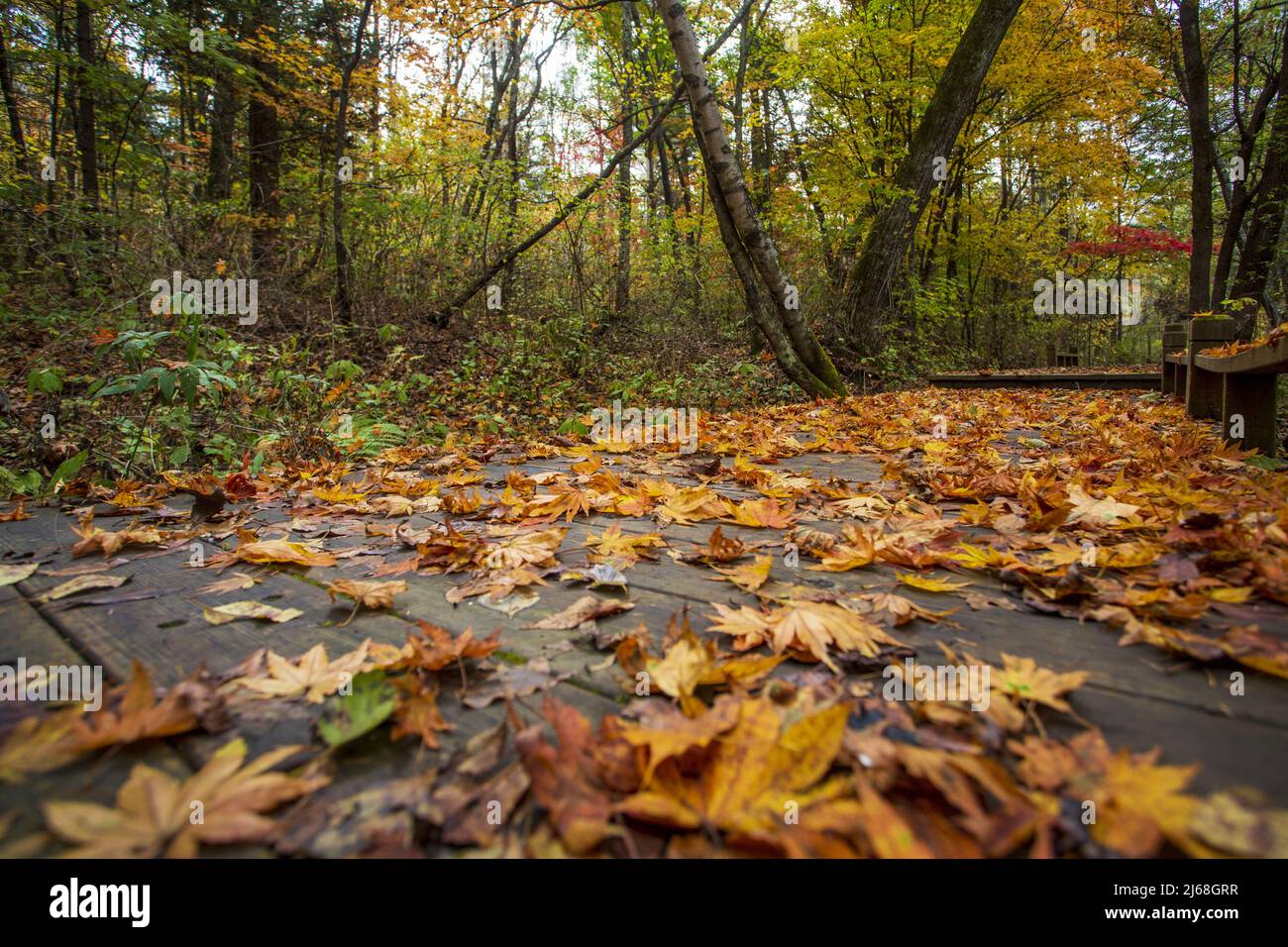 Maanshan hi-res stock photography and images - Alamy