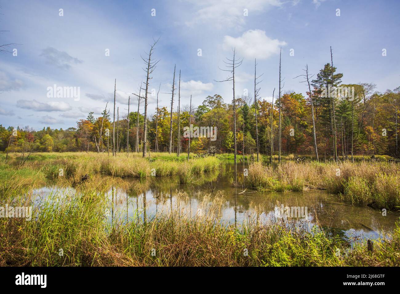 Maanshan hi-res stock photography and images - Alamy