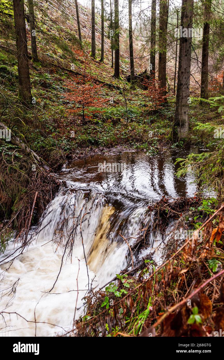 A small river flowing through the belgian ardennes on an early winter ...