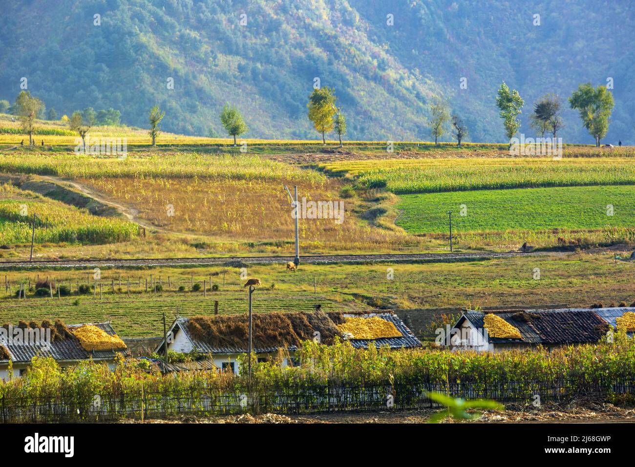 The Korean Countryside Stock Photo Alamy