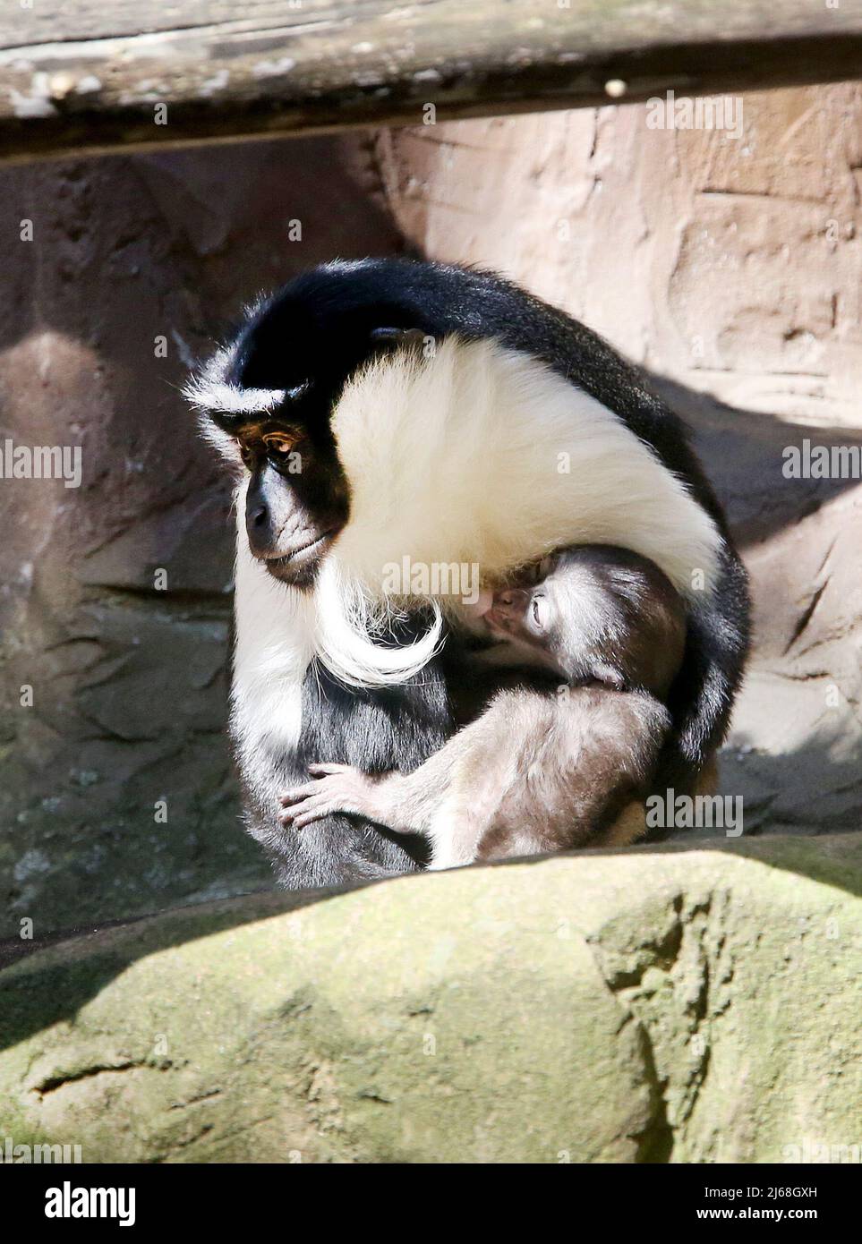 Duisburg, Germany. 28th Apr, 2022. 28 April 2022, North Rhine ...