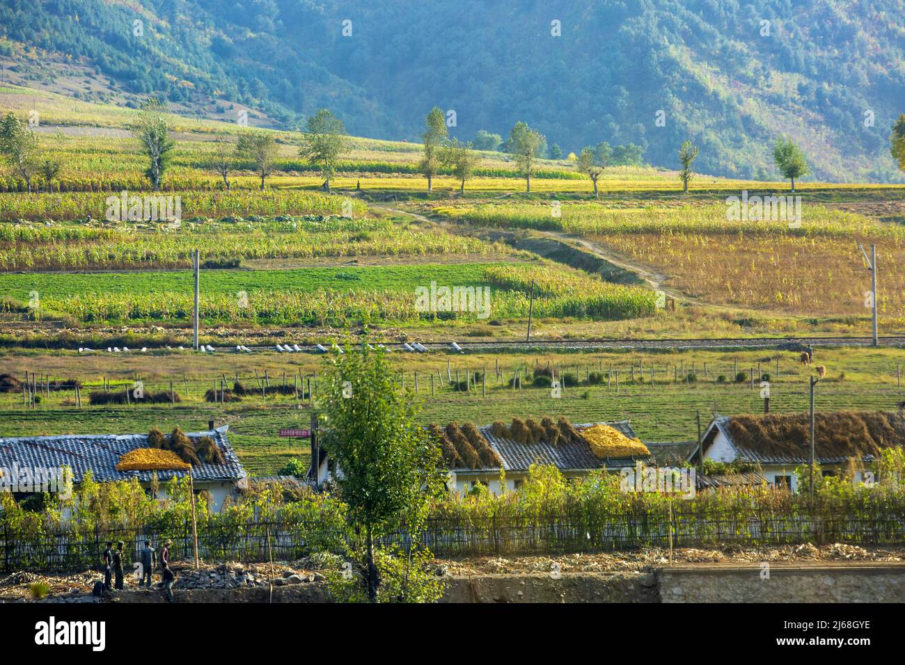 North korean countryside hi-res stock photography and images - Alamy