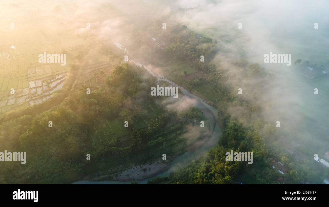 Aerial view paddy field river hi-res stock photography and images - Alamy