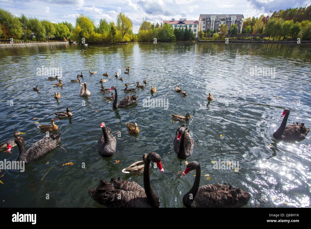 Baihe town hi-res stock photography and images - Alamy