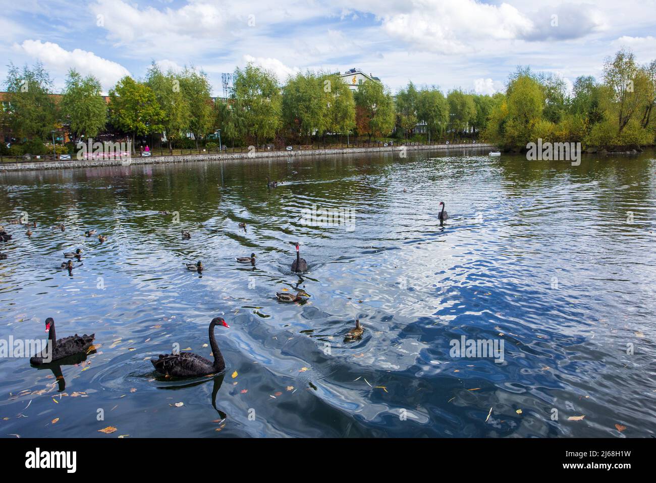 Baihe town hi-res stock photography and images - Alamy