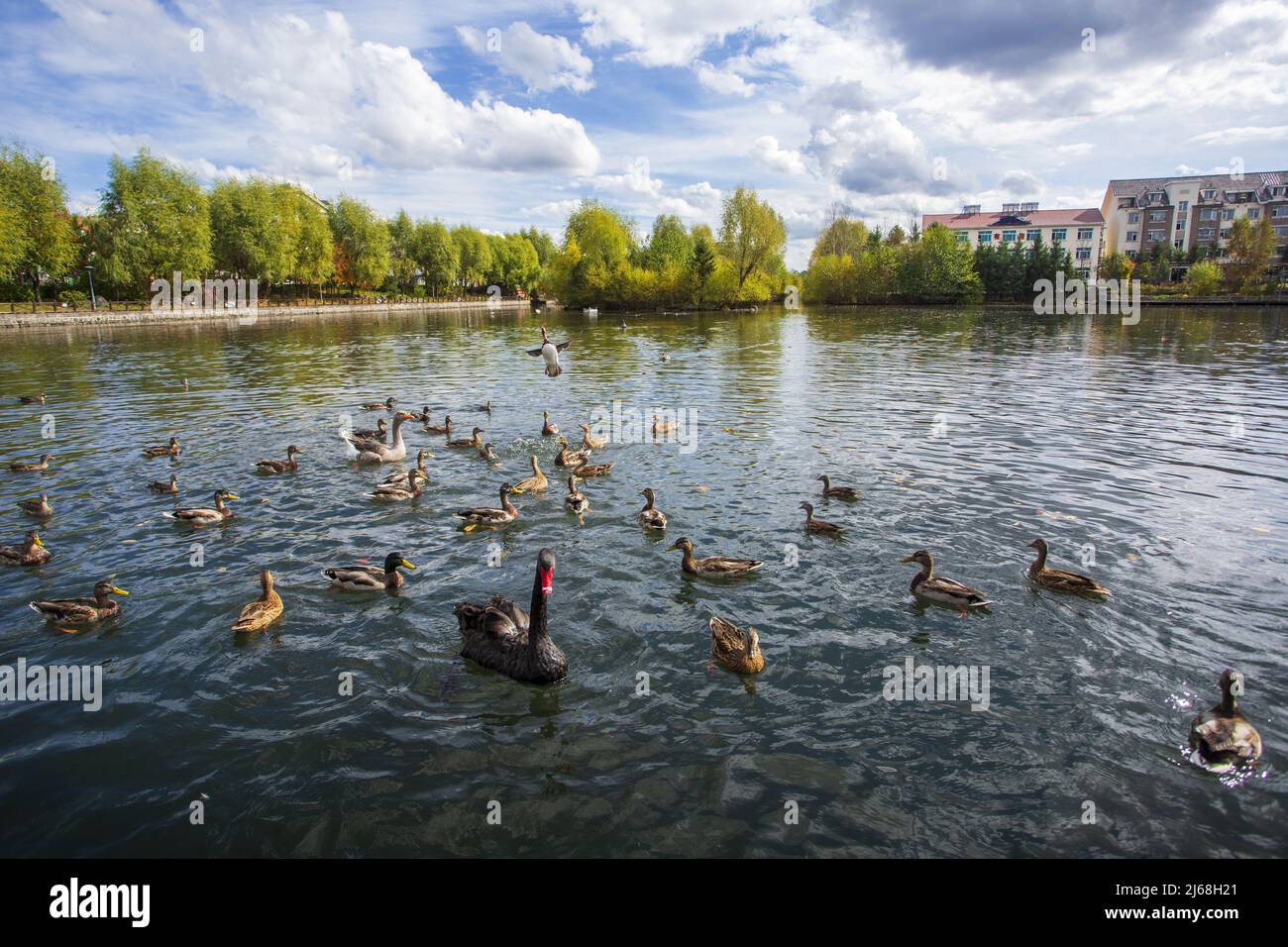 Baihe town hi-res stock photography and images - Alamy