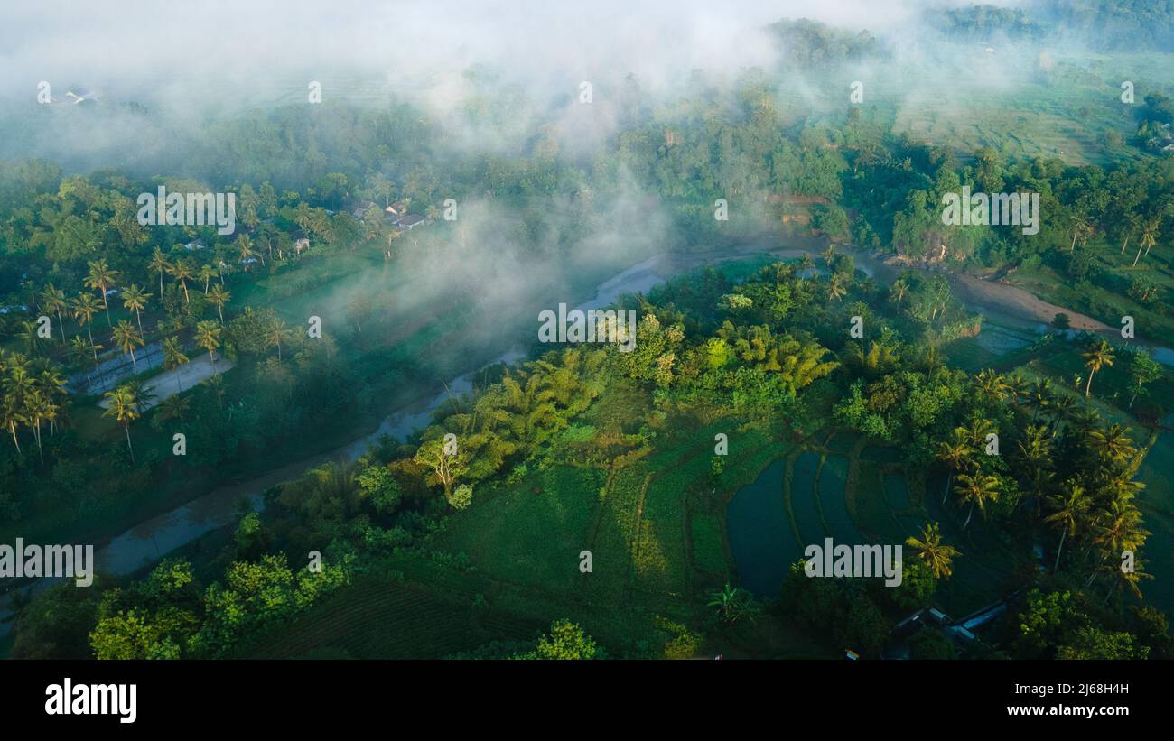 Aerial view, Village and forest covered in fog in the morning Stock ...