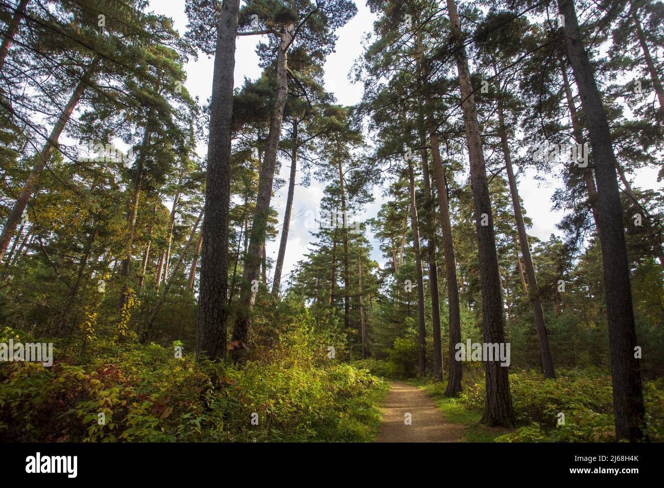 Baihe county hi-res stock photography and images - Alamy