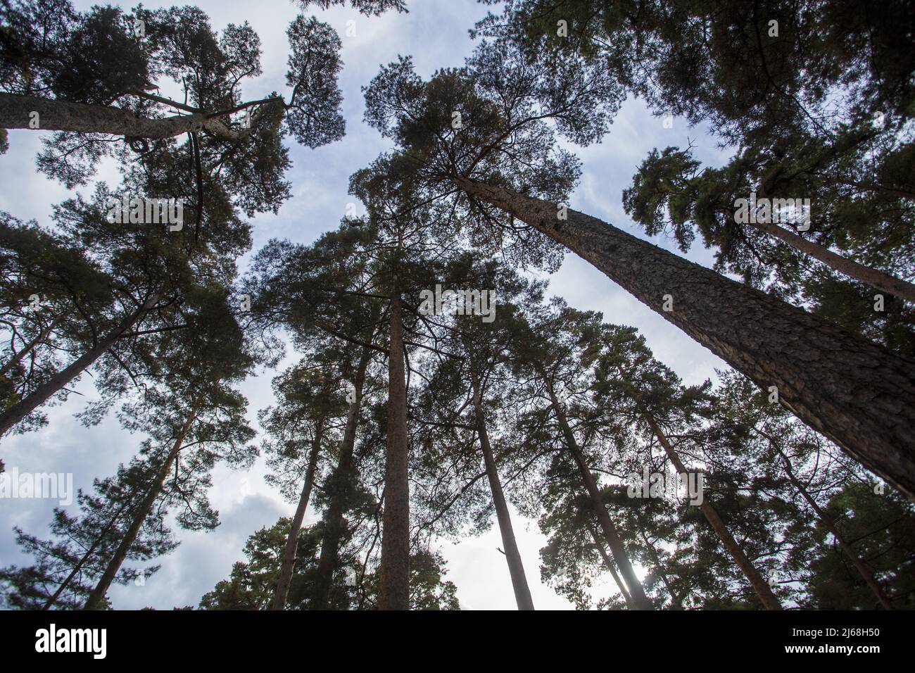 Baihe county hi-res stock photography and images - Alamy