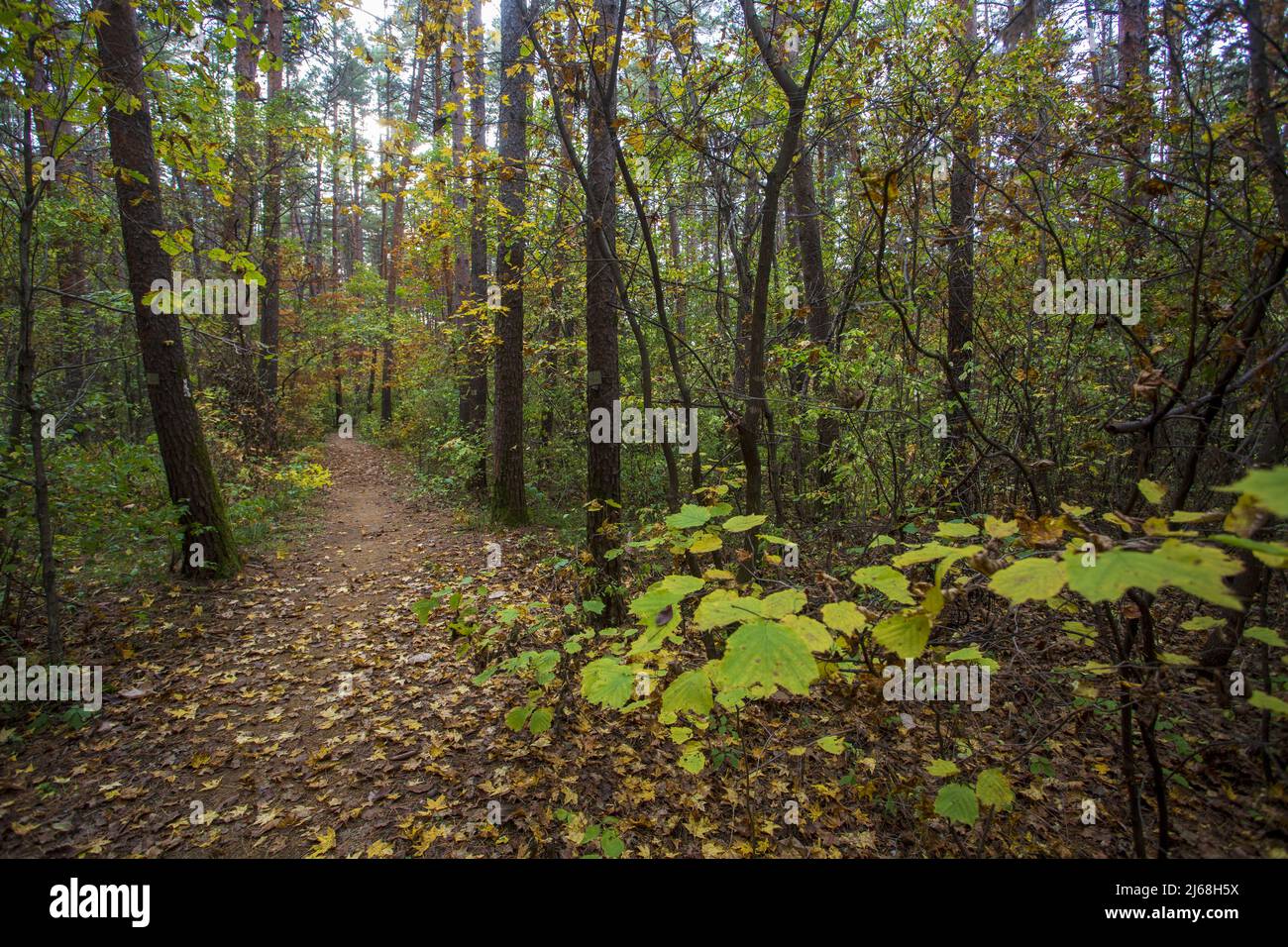 Baihe town hi-res stock photography and images - Alamy