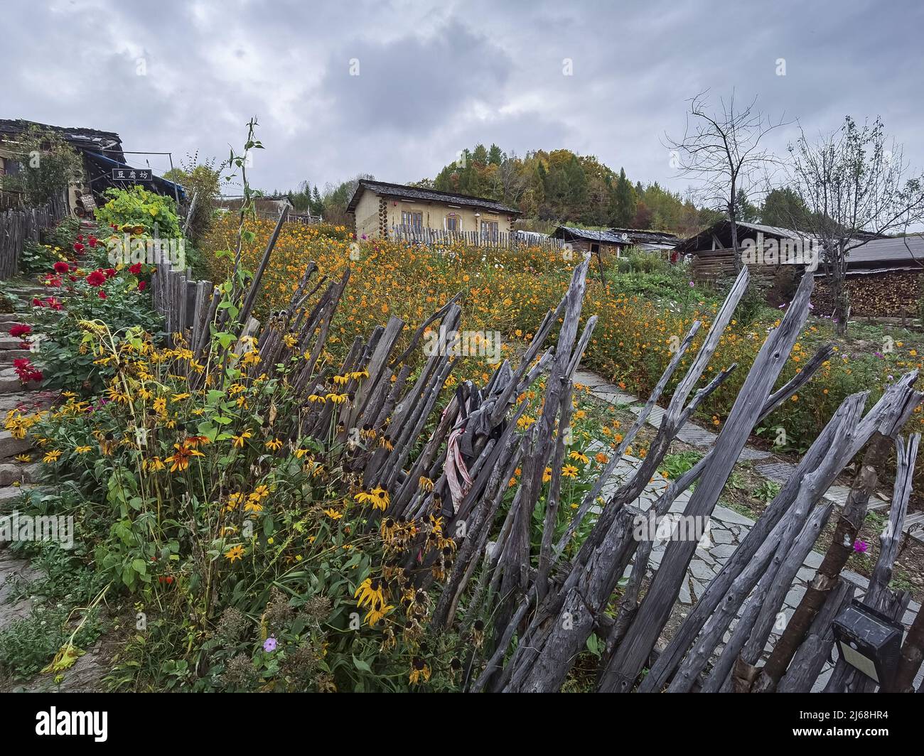 Jinjiang hut hi-res stock photography and images - Alamy