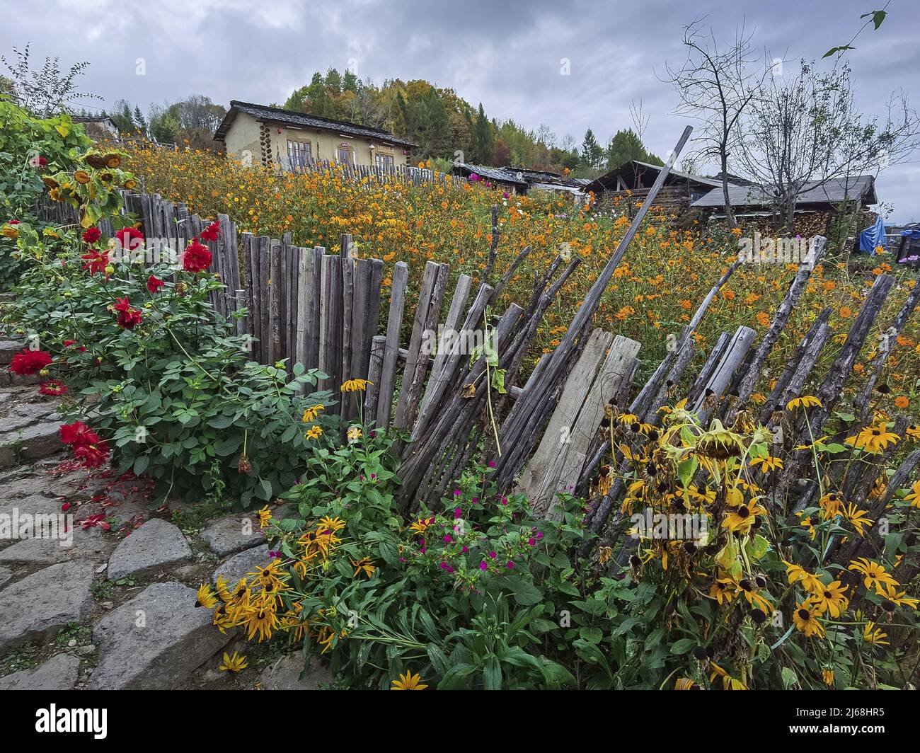 Jinjiang hut hi-res stock photography and images - Alamy