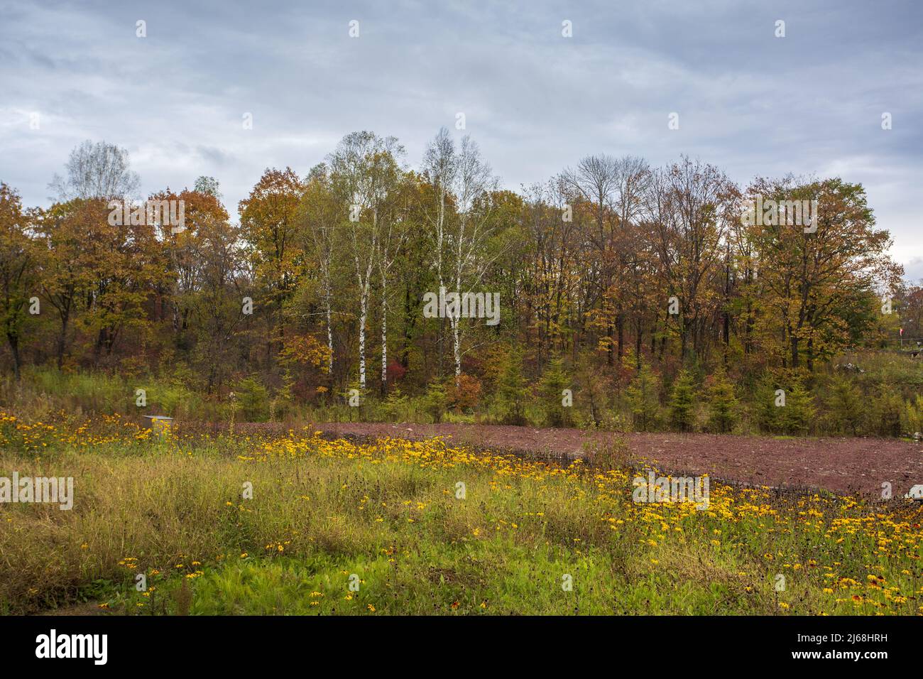 Jinjiang white hi-res stock photography and images - Alamy