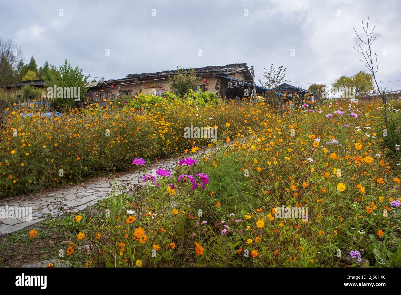 Jinjiang white hi-res stock photography and images - Alamy
