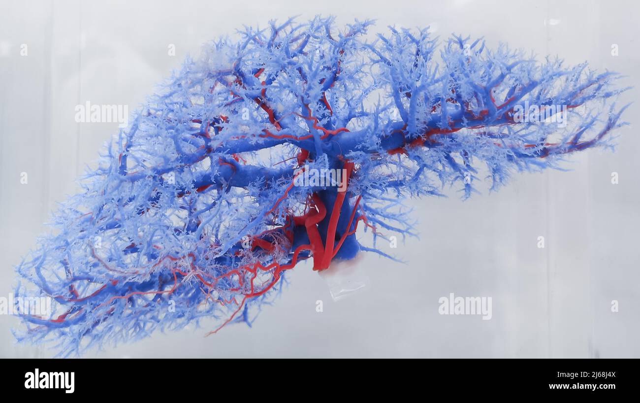 Static and microcosmic hi-res stock photography and images - Alamy