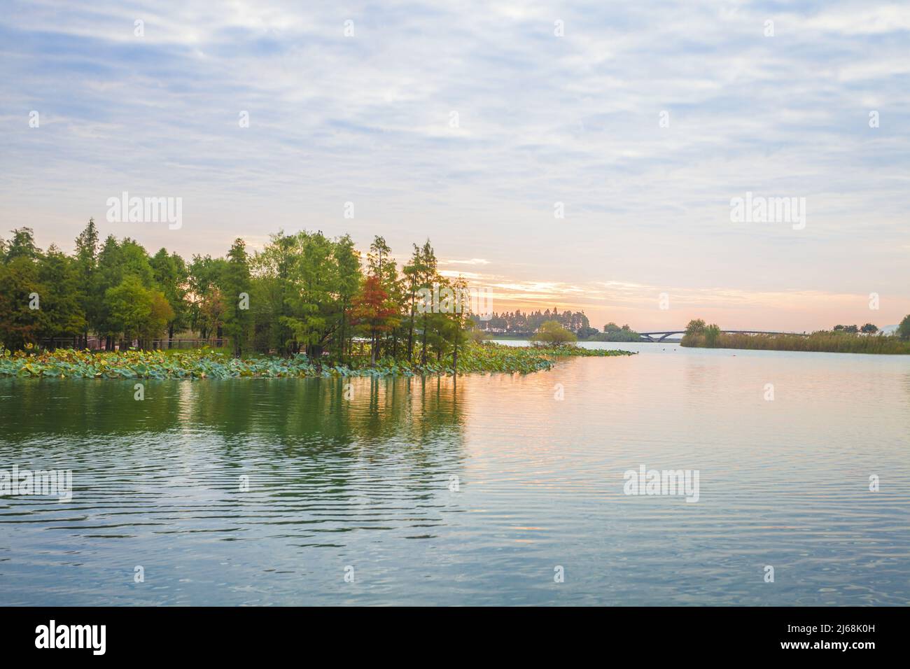The taihu lake scenery Stock Photo - Alamy