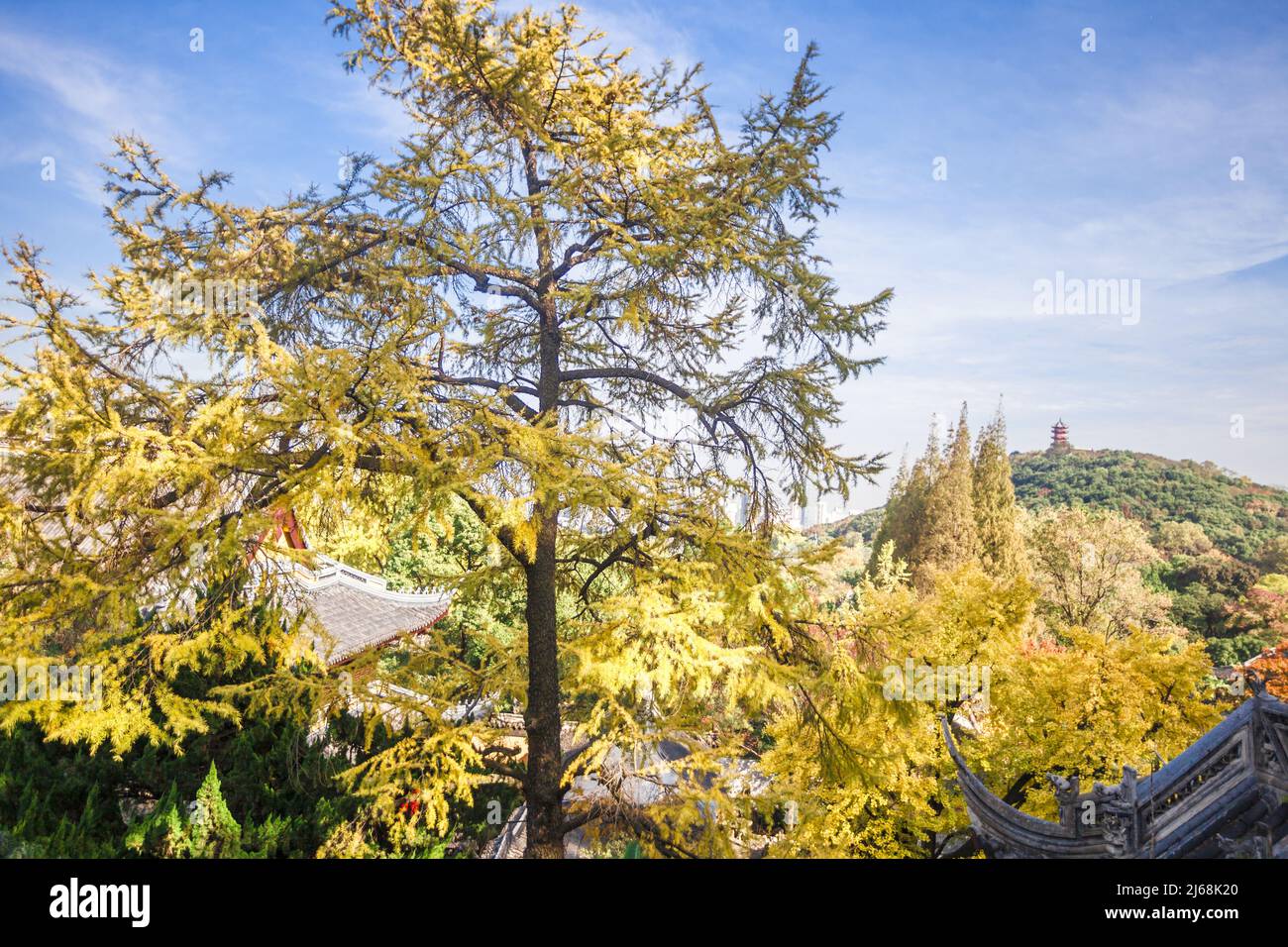 Jiangnan gardens - jichang Stock Photo - Alamy
