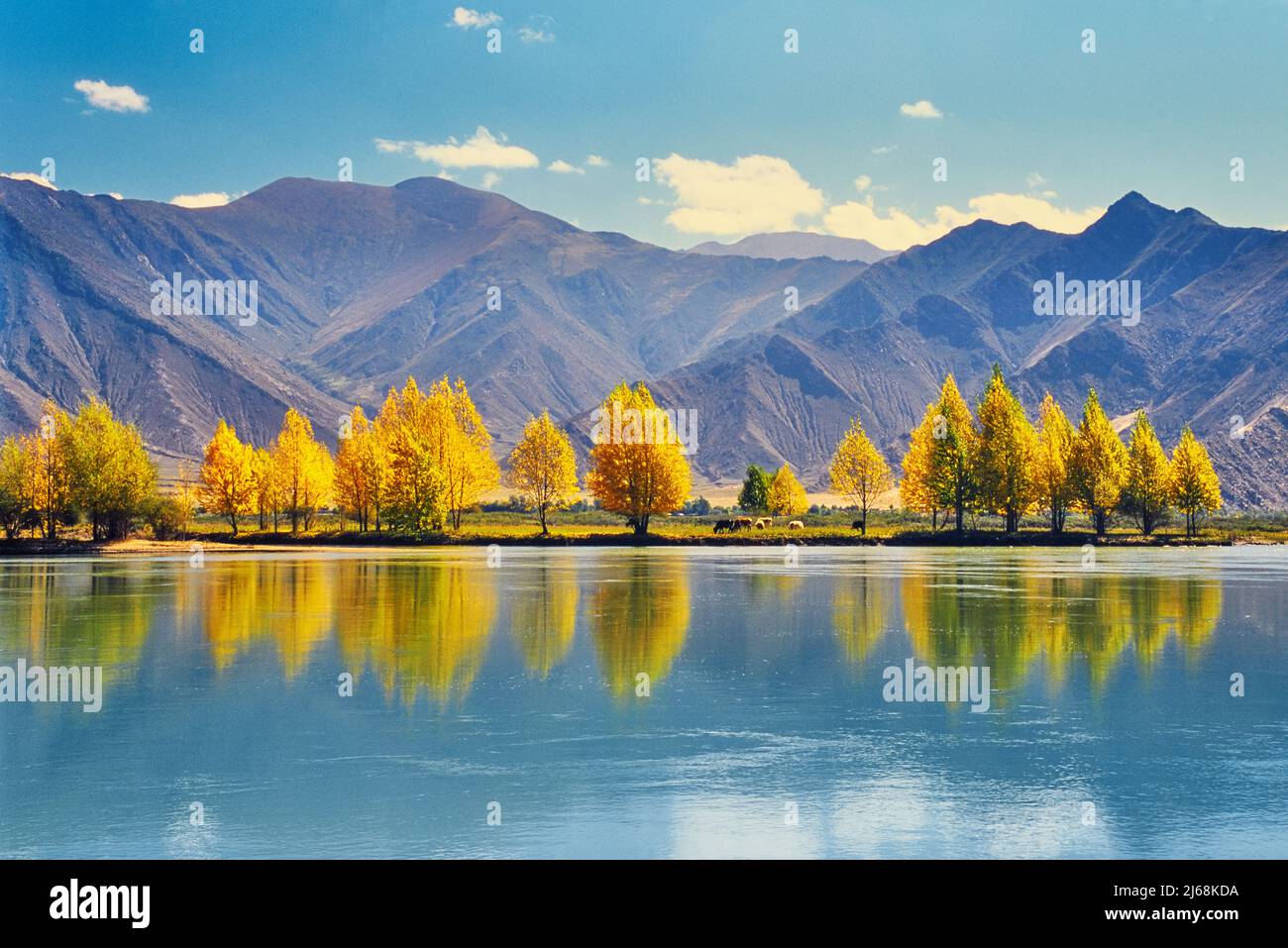 Wetlands and plateau and qinghai tibet plateau hi-res stock photography ...