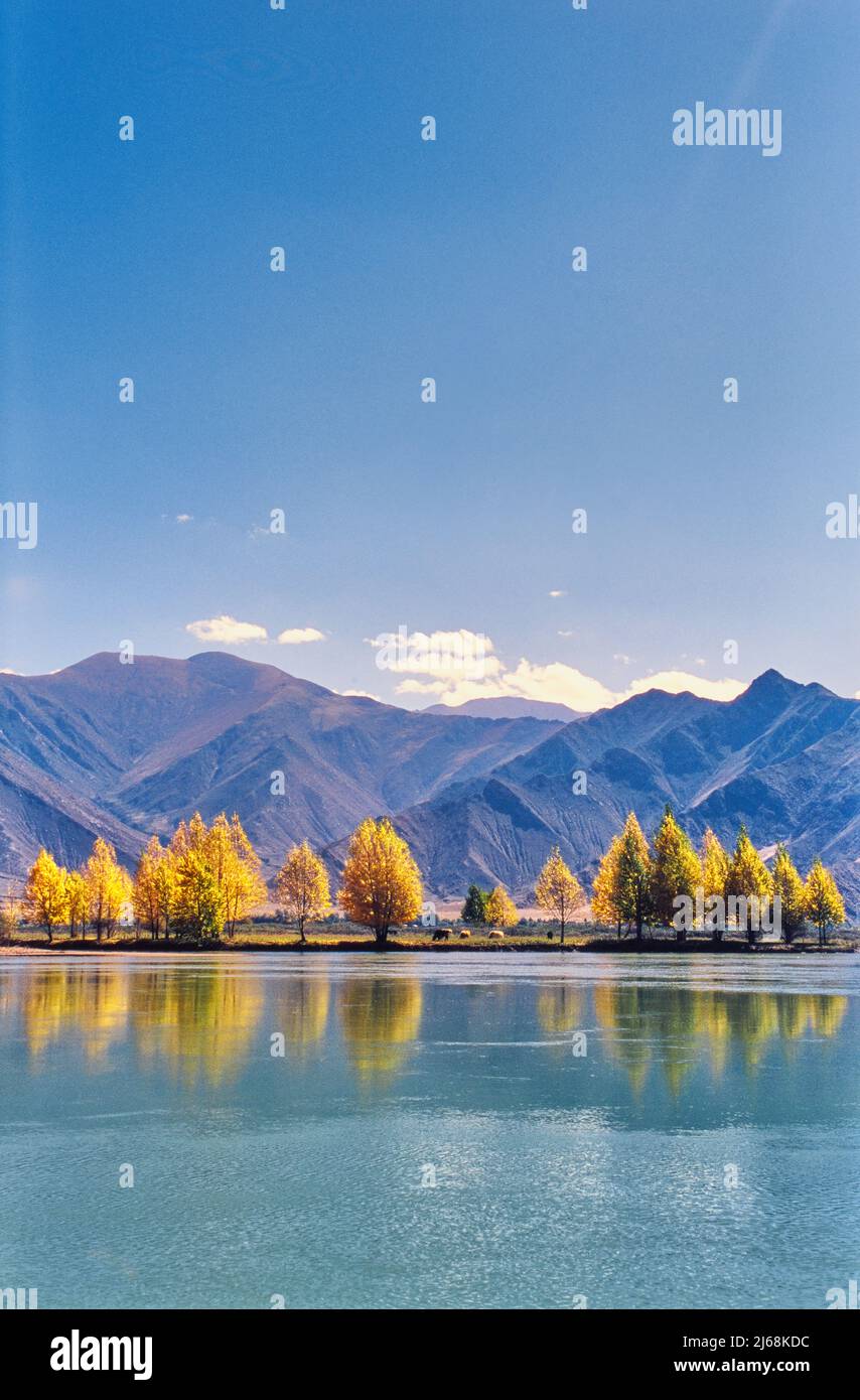 Tibet Lhasa river autumn Stock Photo - Alamy