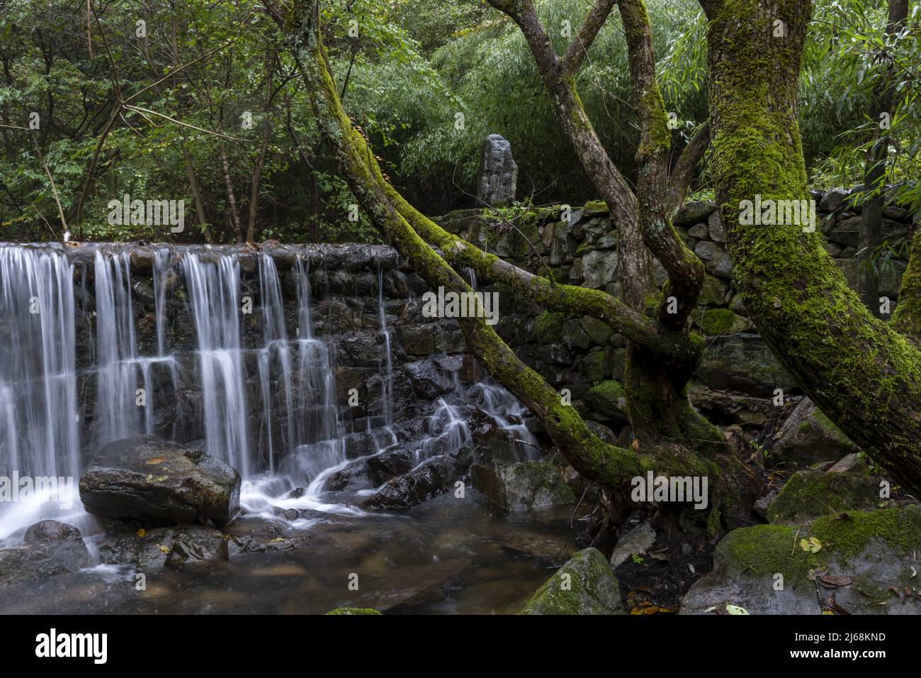 Chinas jungle hi-res stock photography and images - Alamy