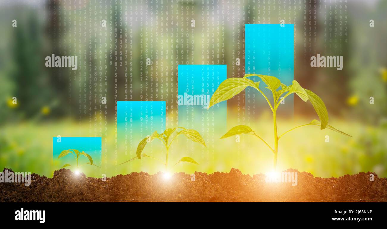 Money growth and business finance concept. Growing green plants with ...