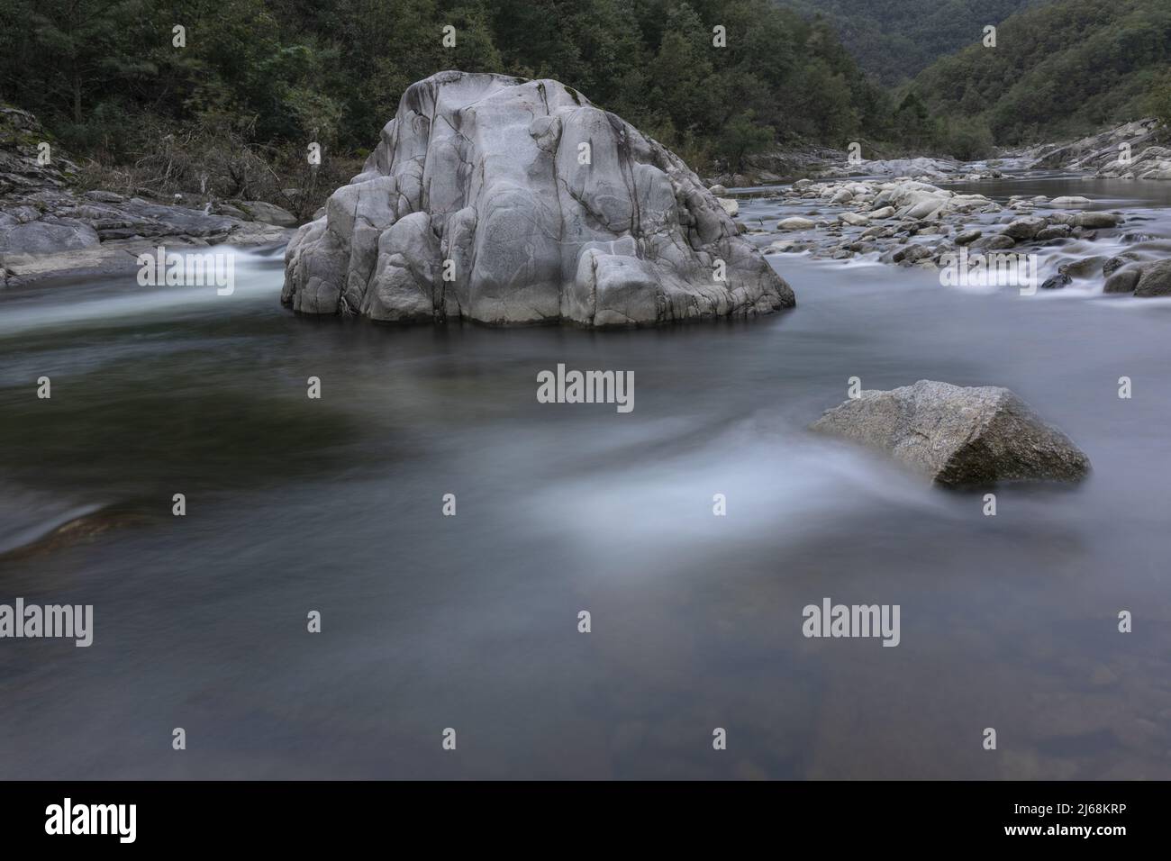 Chinas jungle hi-res stock photography and images - Alamy