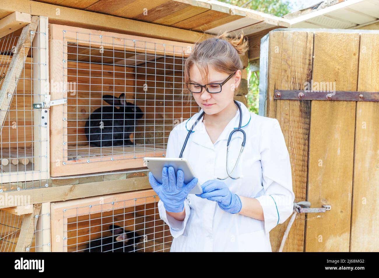 Veterinarian woman with tablet computer checking animal health status ...