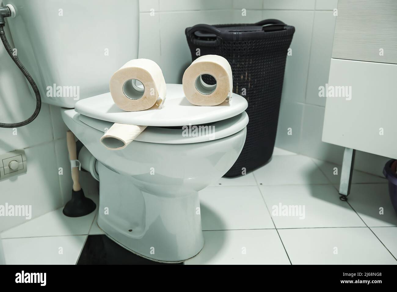 Frog on toilet hi-res stock photography and images - Alamy
