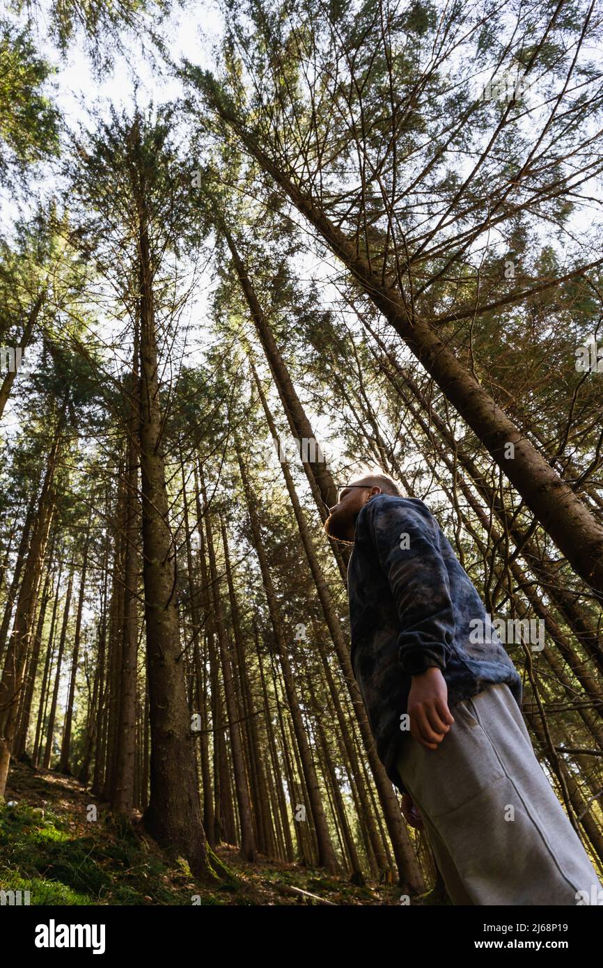 Low angle view of man standing in spruce forest Stock Photo - Alamy