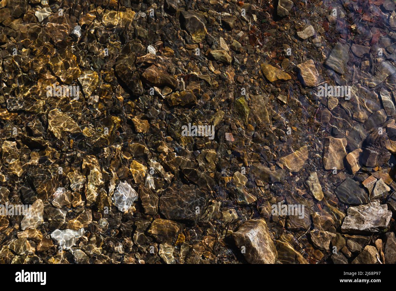 Top view of stones on shallow bottom of lake Stock Photo - Alamy