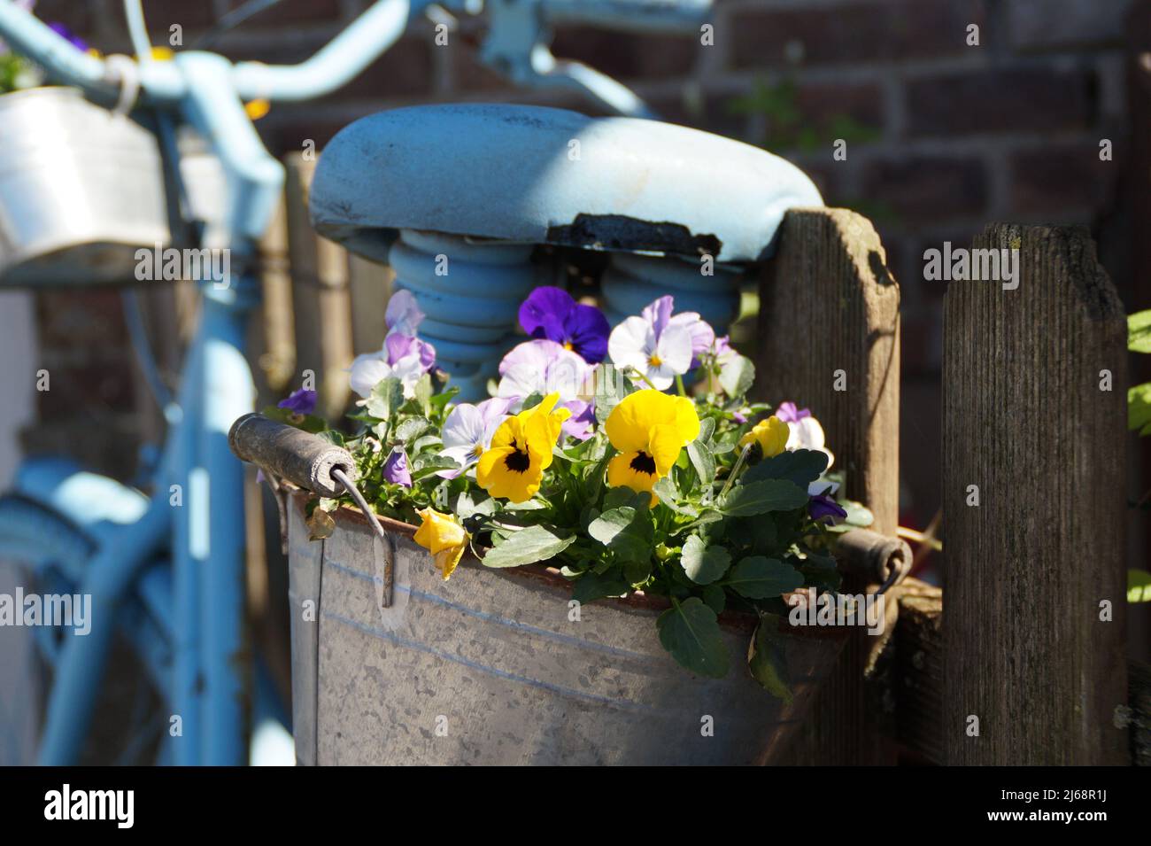 Rusty bike flowers hi-res stock photography and images - Alamy