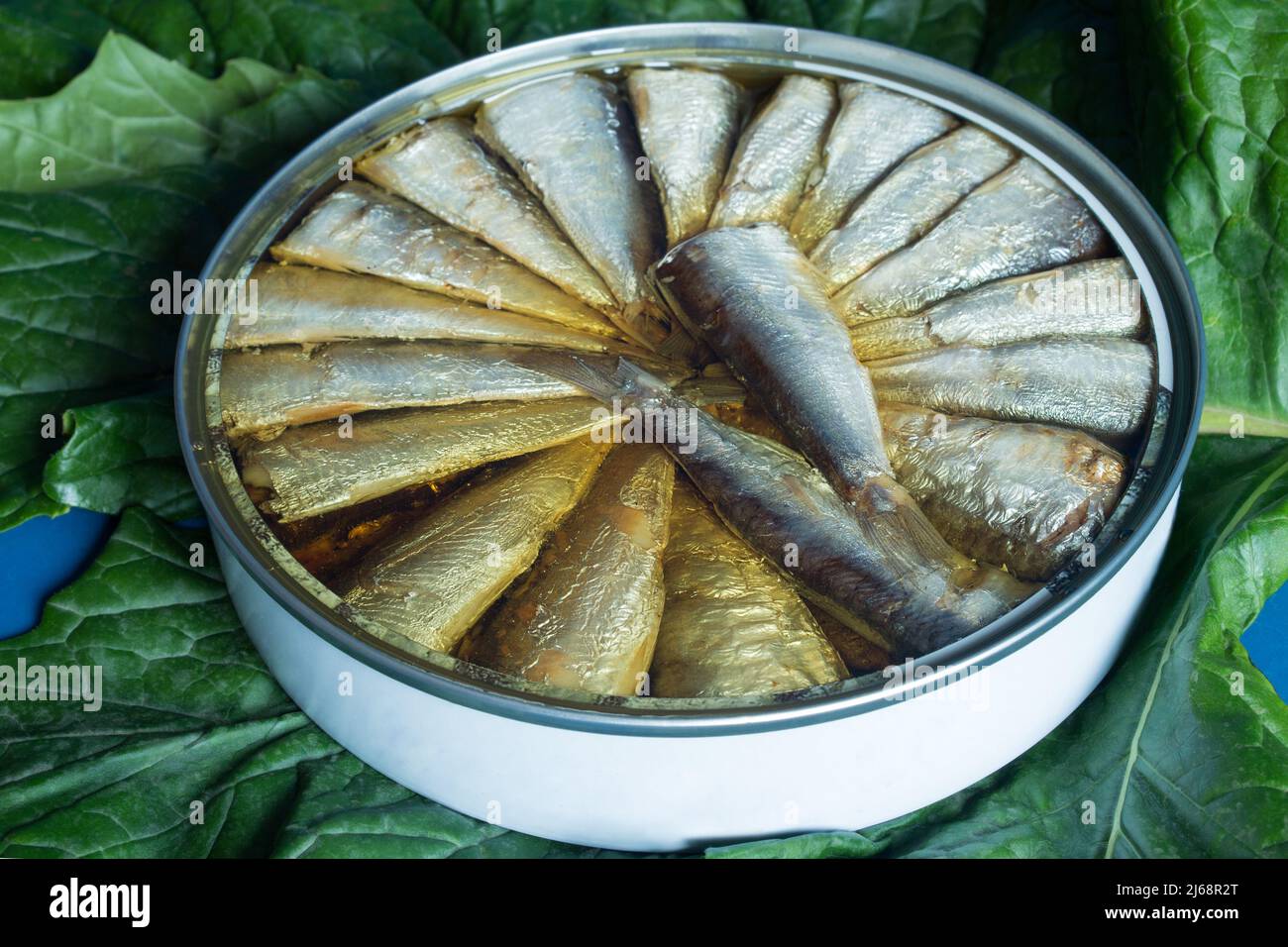 A large round tin of canned sardines in olive oil is open on a green ...